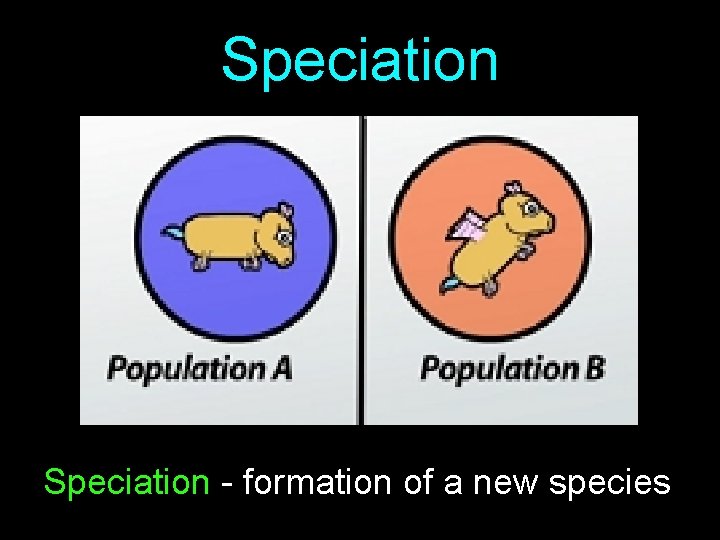 Speciation Learning Objectives Identify the conditions necessary for