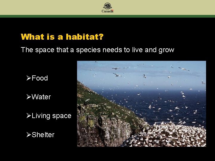 Biodiversity The number of different types of living