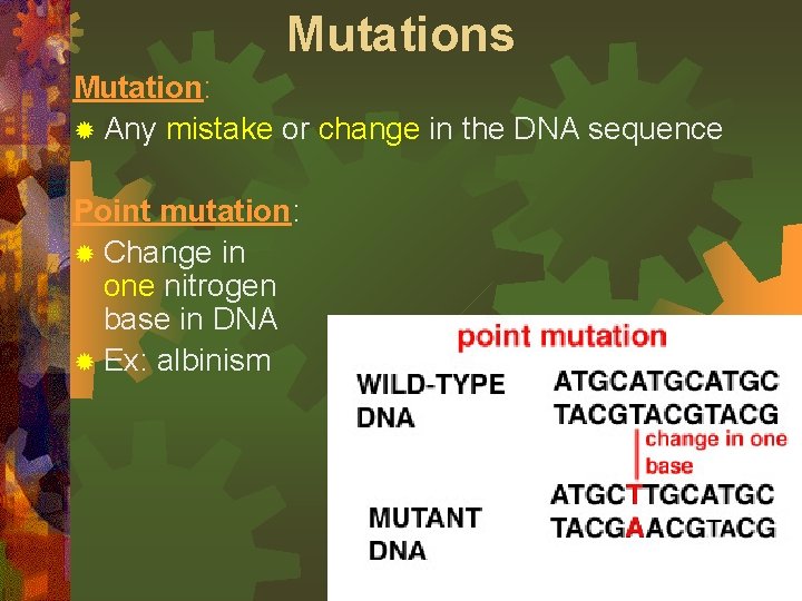 Mutations Genetic Disorders Headings Vocabulary Important Information ...