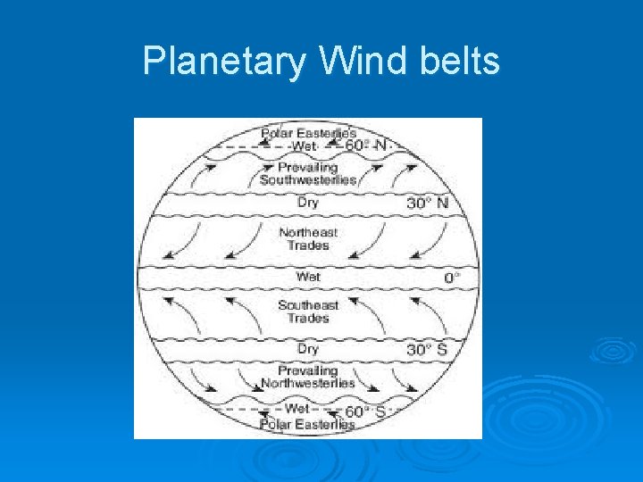 Winds Local Winds Blow over small areas depend