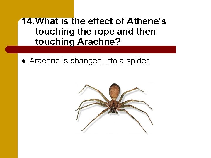 Review Arachne by Olivia E Coolidge 1 What