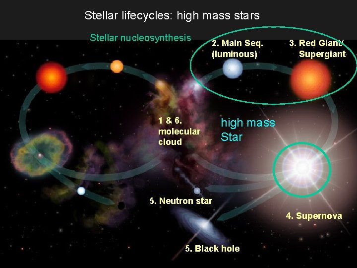 Composition of Stars Classify stars by their color