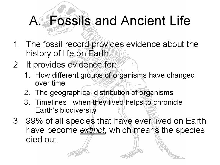 The Age of Earth Ch 19 2 Biology