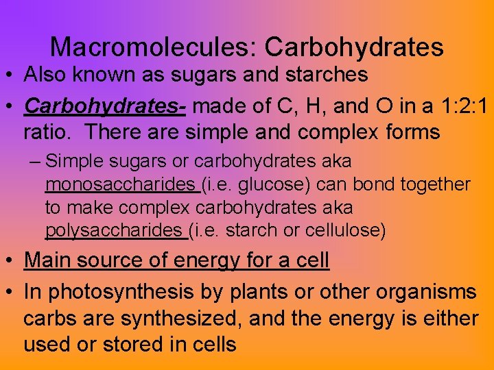 HB 2 A 1 Intro to Macromolecules Construct