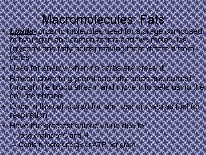 HB 2 A 1 Intro to Macromolecules Construct