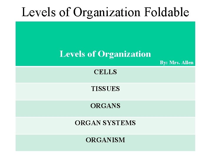 Bell Ringer 17 No Bell Ringer 16 Holiday