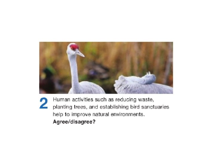 Unit 1 Sustainable Ecosystems and Human Activity Lesson