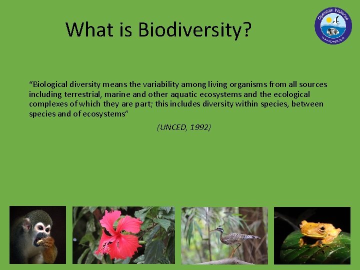 Lecture 1 Introduction to biodiversity Review of current