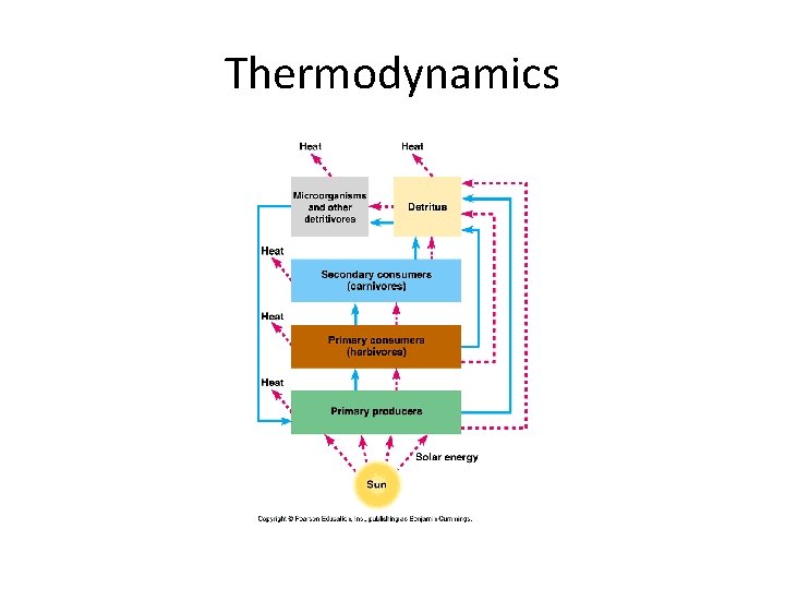 AP Biology Living Metabolism Part 1 Dehydration and