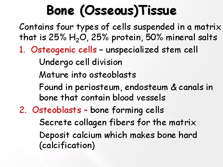 Osteology Study of bone structure and function Bones