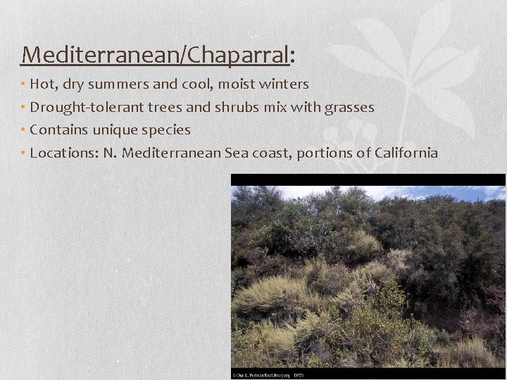 ECOSYSTEMS OF EARTH Terrestrial biomes Marine ecosystems and