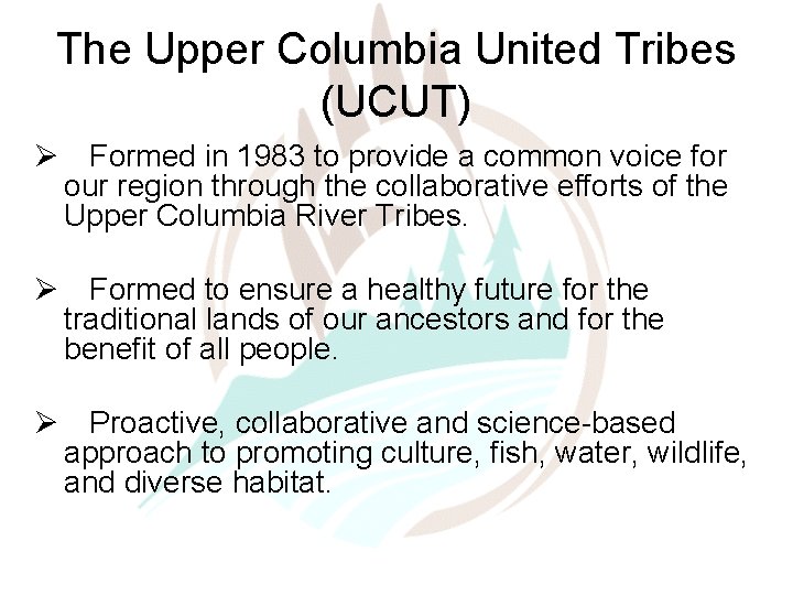 The Upper Columbia United Tribes UCUT Formed in