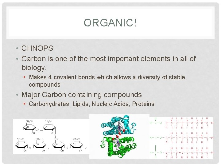 2 1 NOTES MOLECULES TO METABOLISM MOLECULAR BIOLOGY