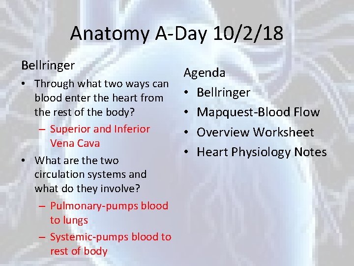 HEART PHYSIOLOGY Anatomy ADay 10218 Bellringer Through what