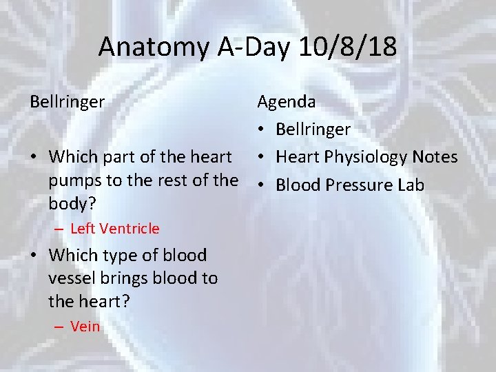HEART PHYSIOLOGY Anatomy ADay 10218 Bellringer Through what