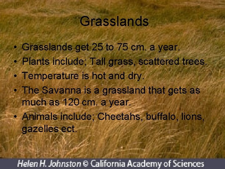 Biomes By Jon Wilson Temperate Rain Forest Temperate