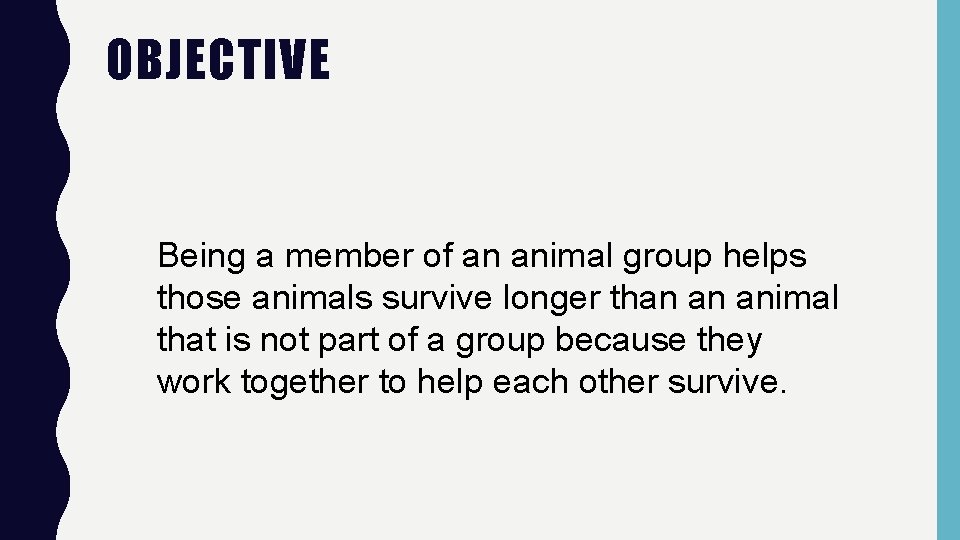 ANIMAL GROUPS 3 RD GRADE DAY 1 OBJECTIVE