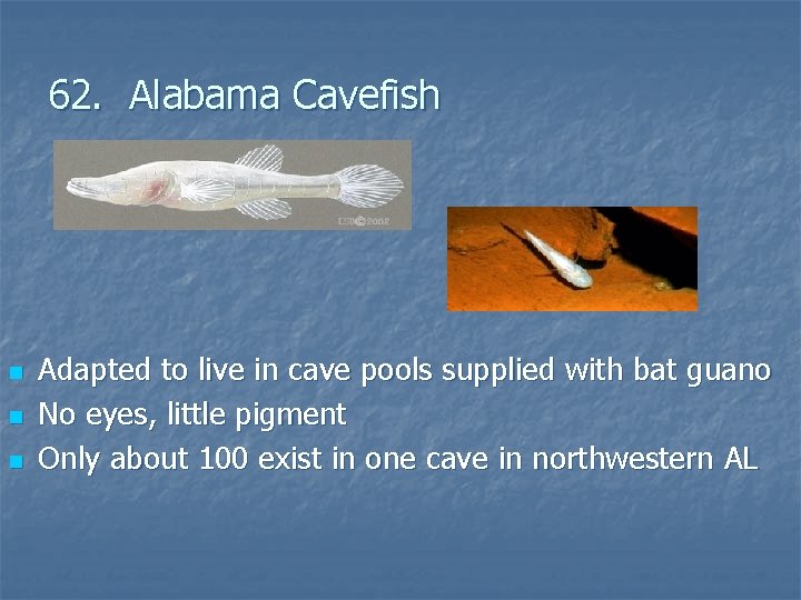 Biodiversity of Alabama Endangered Species Reasons for endangerment