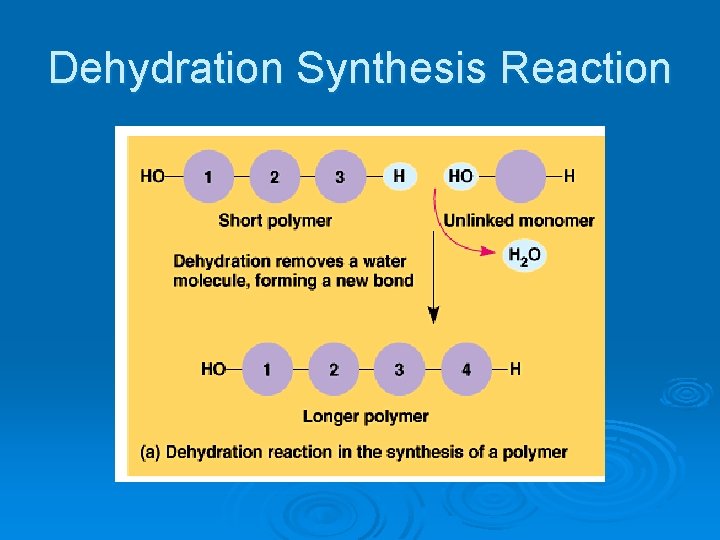 The Chemical Basis of Life Organic Compounds Compounds