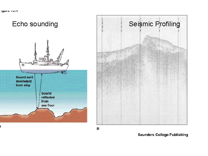 The Sea Floor In the brief history of