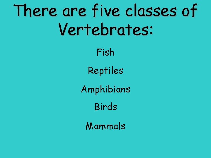 The Animal Kingdom Vertebrates and Invertebrates By Sharon