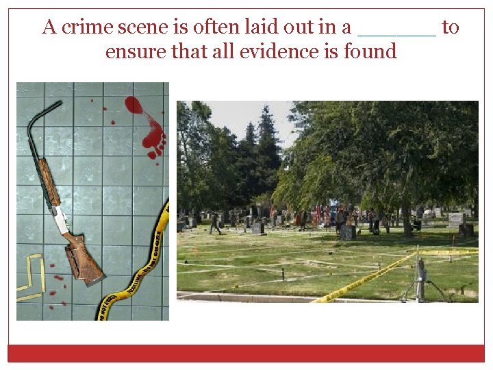 Chapter 1 Observation Skills Chapter 1 Observation Skills