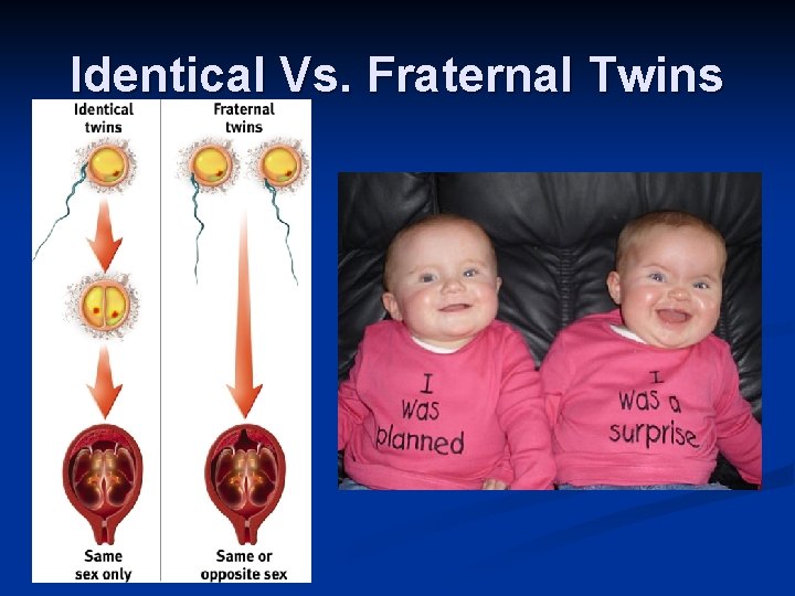 Why Do Identical Twins Share A Stronger Bond Than Fraternal Twins ...