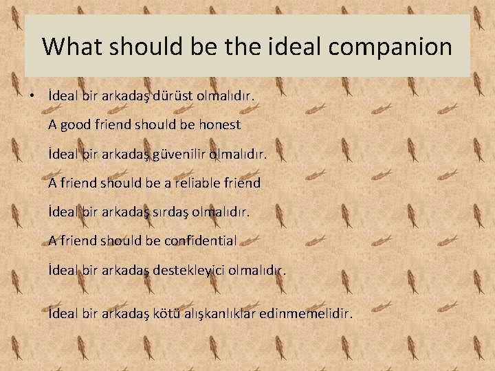 FRIENDSHIP What should be the ideal companion deal