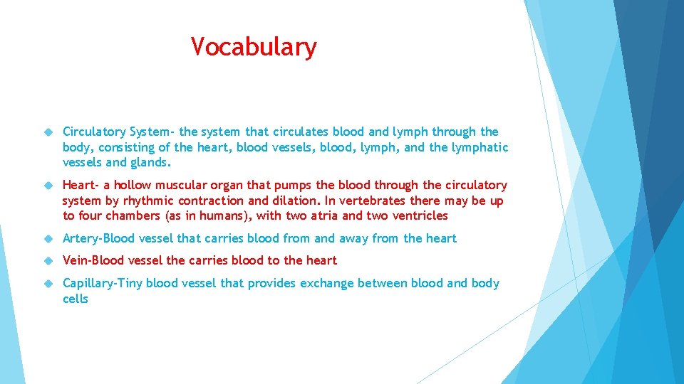 Circulatory System By Param Gattupalli Arnett King Silas