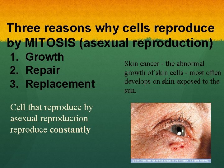 Science 9 Unit A Biological Diversity Lesson 1