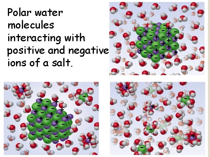 Solutions Acids Bases and Solubility Objective 4 TEK