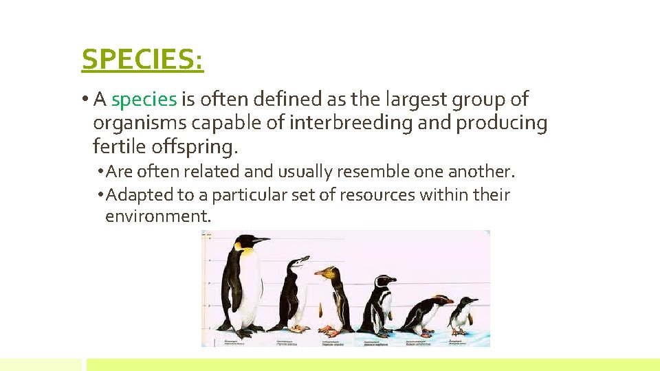 Unit 6 Biodiversity The key to sustainability of