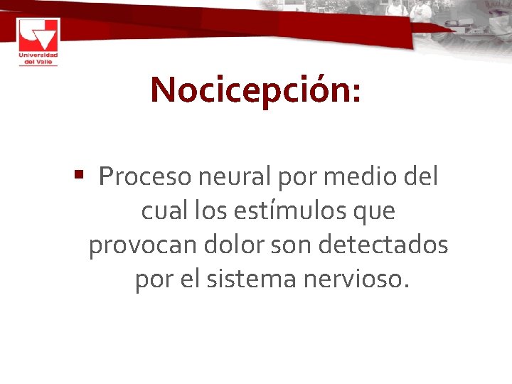 Mecanismos y vas de la nocicepcin Catalina Baena