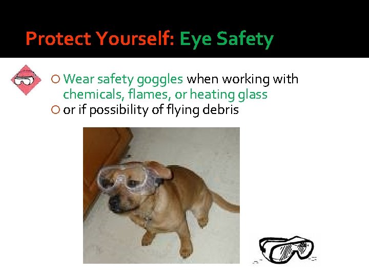 Safety and Rules of the Lab Headings Important