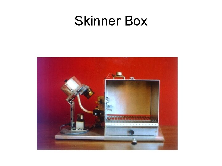 Types of Learning 1 Habituation 2 Classical Conditioning