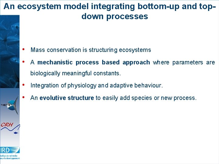How to integrate biodiversity into APECOSM Apex Predators