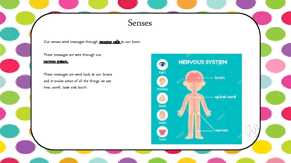 Science The 5 senses Learning Intention To be