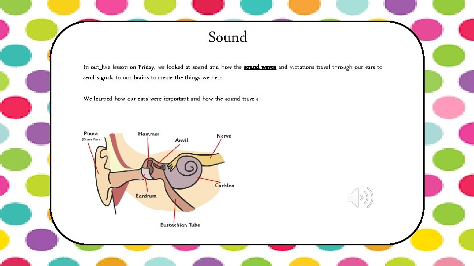 Science The 5 senses Learning Intention To be