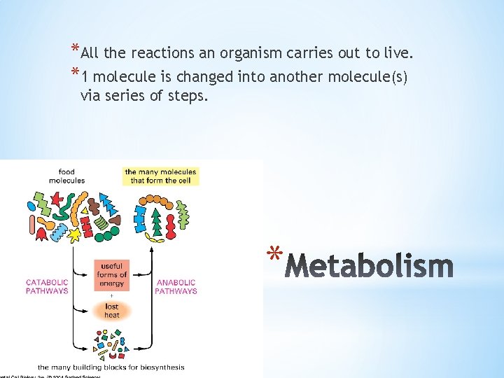 Topic 2 1 Science that explains biological processes