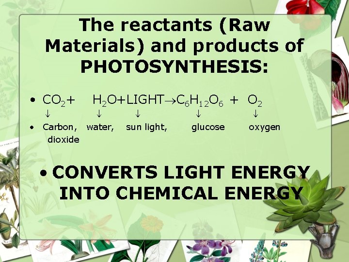 Photosynthesis Cellular Respiration SB 1 SB 3 What