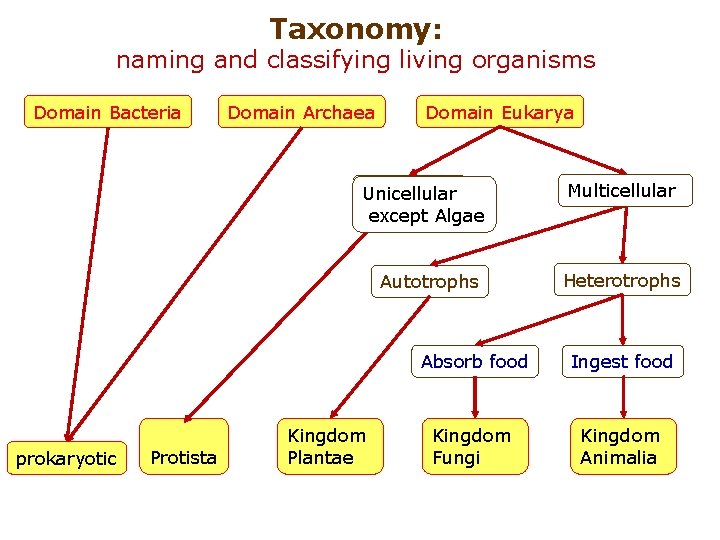 Biochemistry Microbiology and Immunology January 5 2022 Week