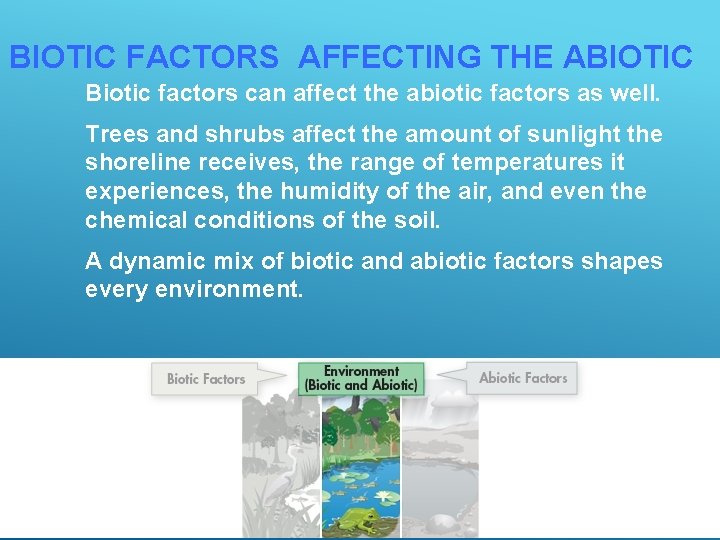 ECOSYSTEMS AND BIOMES REVIEW ECOLOGICAL LEVELS OF ORGANIZATION