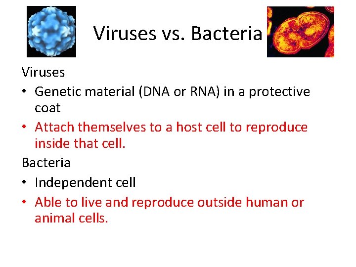 BACTERIA AND VIRUSES ANTIBIOTICS AND BACTERIAL RESISTANCE TO