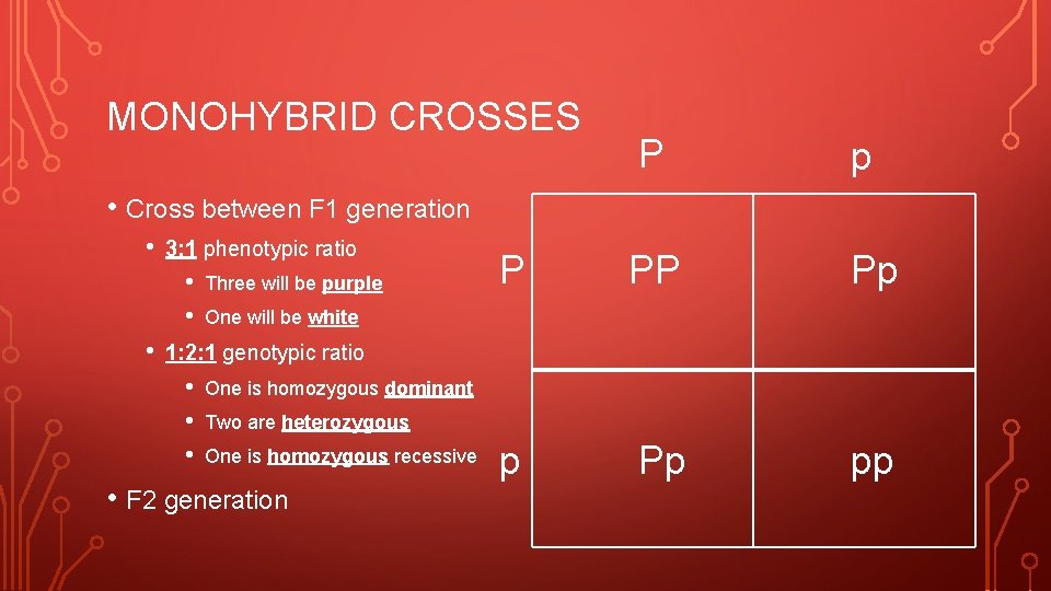 GENETICS NOTES 2 MONOHYBRID CROSSES Traits Can Be genetics-notes-2-monohybrid-crosses-traits-can-be