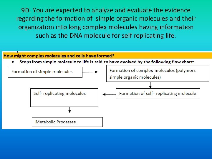 Biology STAAR review Session 5 Biomolecules 9 A
