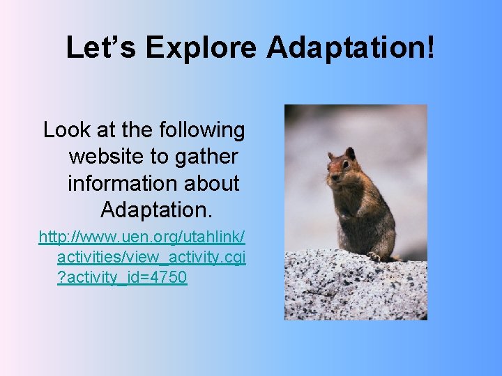 Animals in Winter Webquest Designed for students in