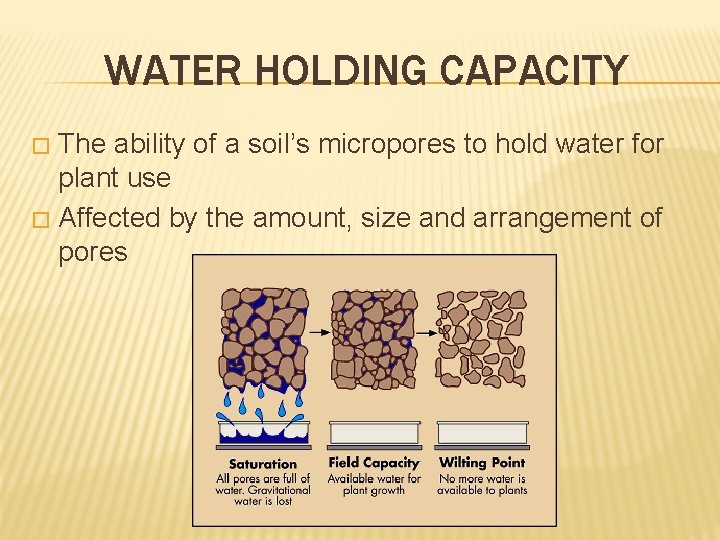 SOILS WHAT IS SOIL Formed by weathering erosion