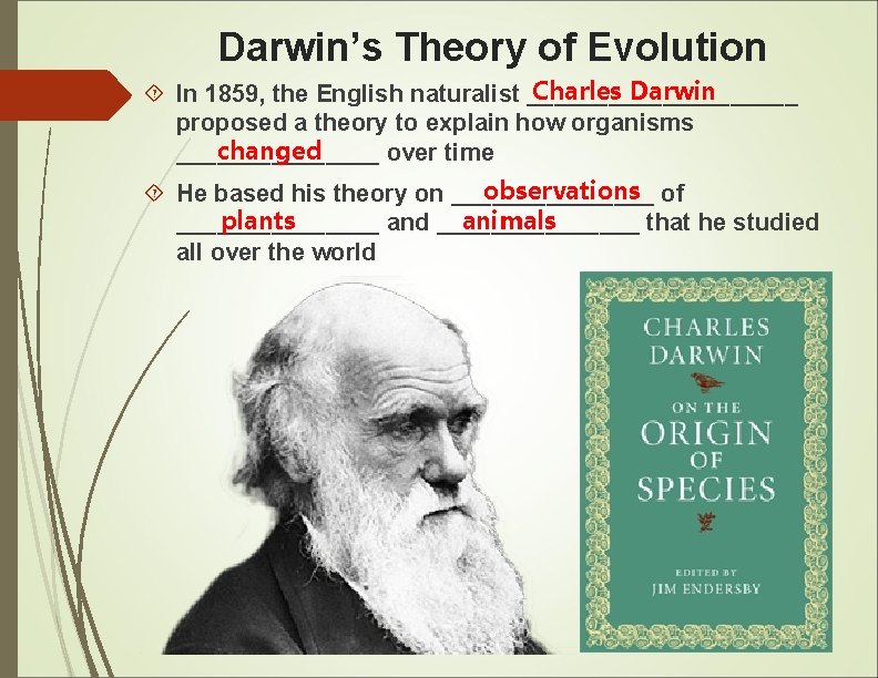 Evolution Evolution Life on earth bean over three