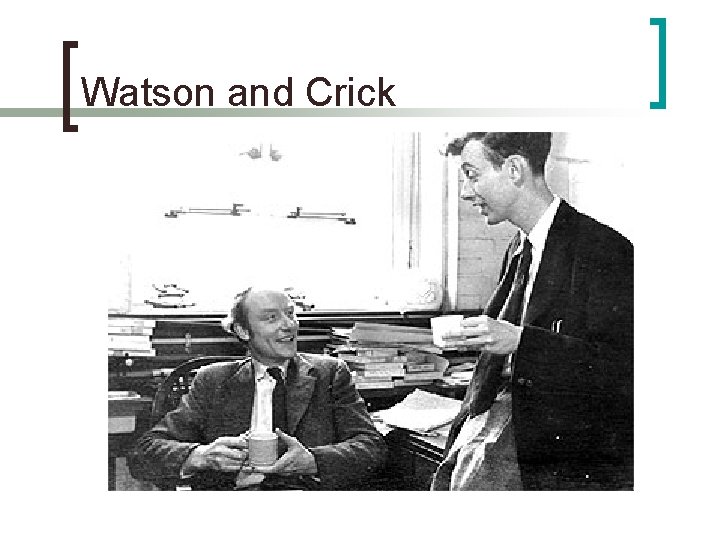 Deoxyribonucleic Acid DNA DNA tells bodies how to
