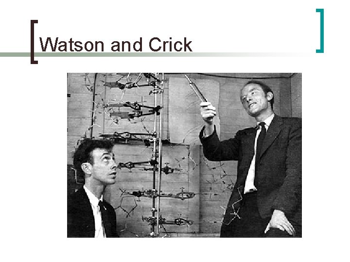 Deoxyribonucleic Acid DNA DNA tells bodies how to